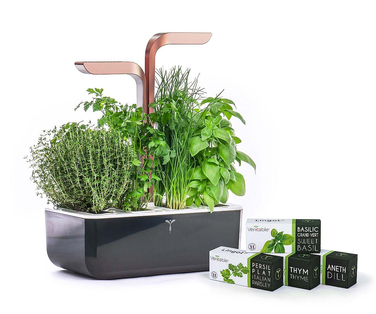 Praktische Lösungen: Smart Garden (nicht nur für Hausbesitzer mit Garten)